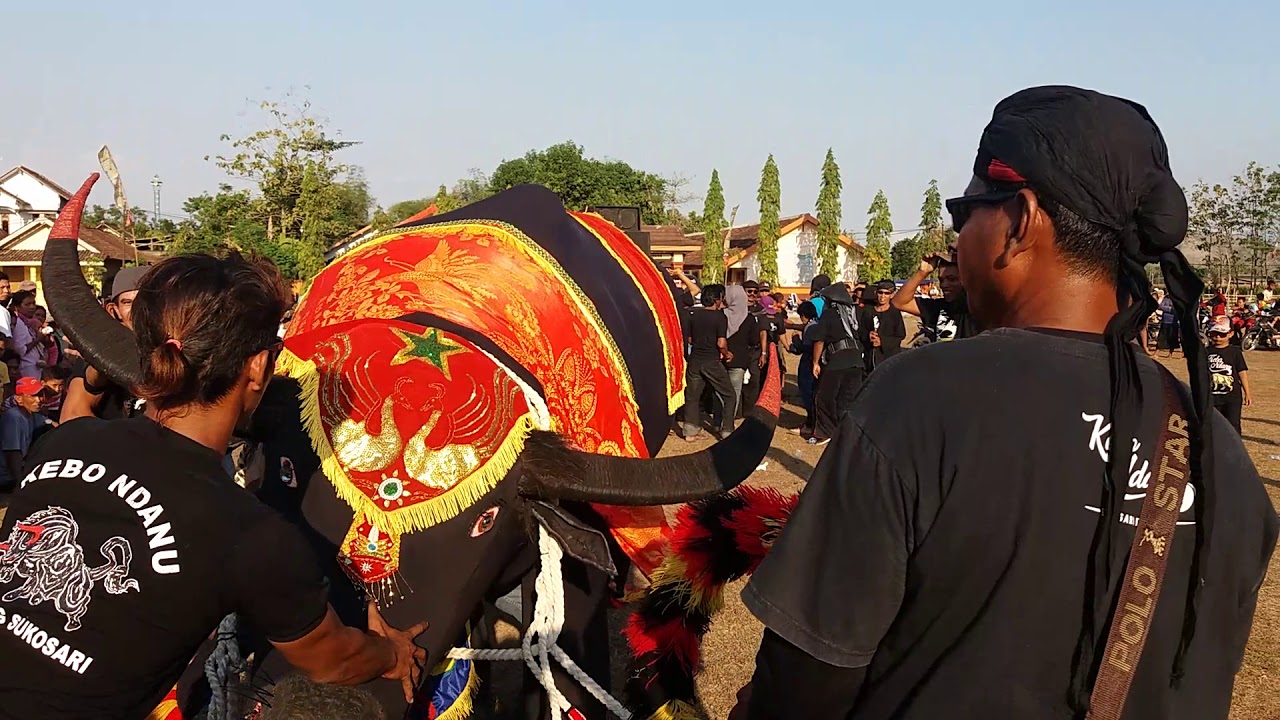 KEBO NDANU JOGED DI LAPANGAN NONGKODONO 020917 .PEMBUKAAN FESTIVAL ...