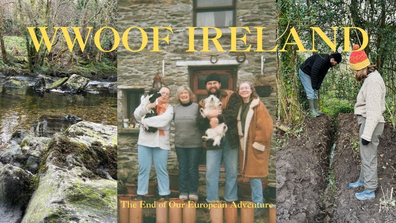 Saying Goodbye to Europe: Our WWOOF Experience in Ireland Ep. 13 - YouTube