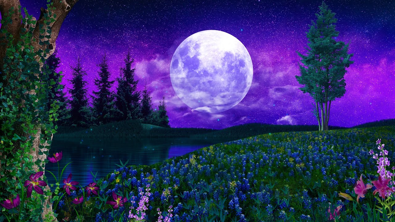 Soul Calming Sleep Music 🎵 Mind Body Soul Restoration Meditation ...