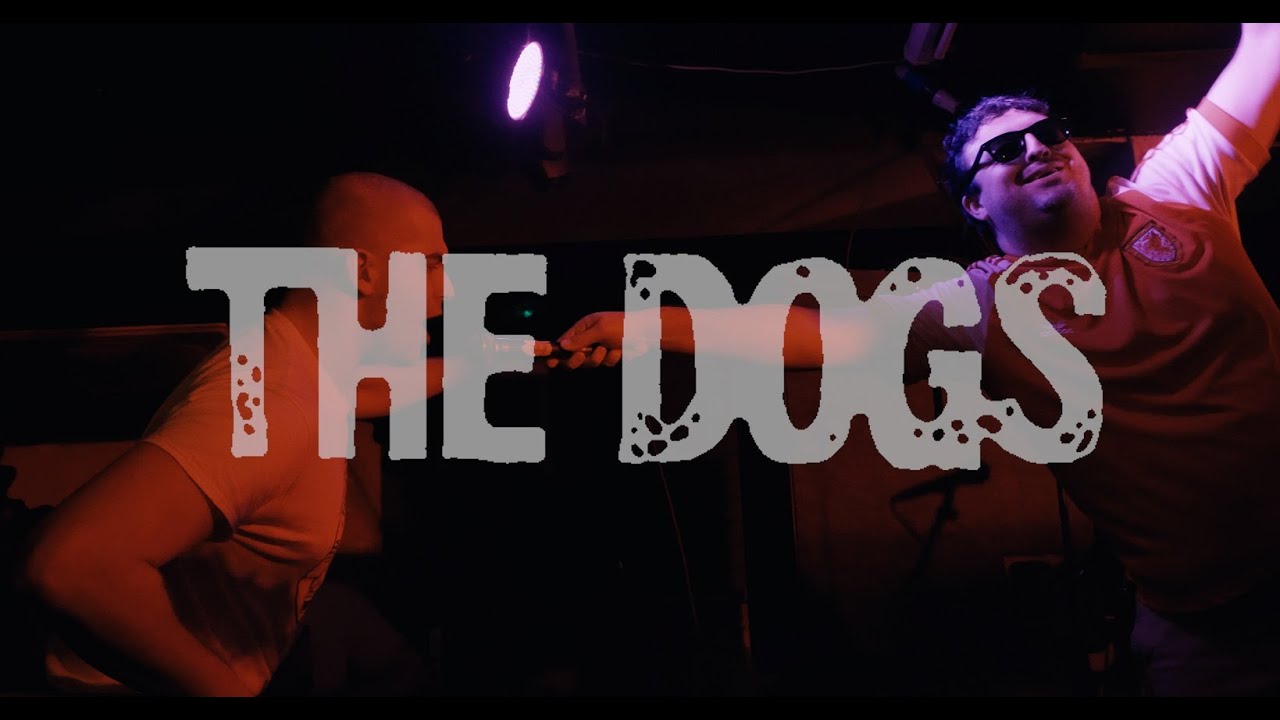 THE DOGS - 4K - MULTICAM FULL SET - BOOTLEG SOCIAL, BLACKPOOL - 14.12. ...
