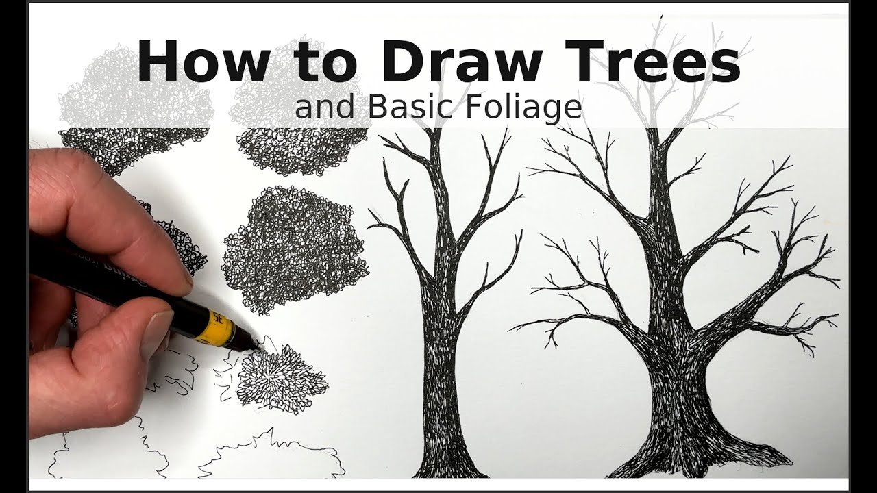 How To Draw Trees With Pen And Ink