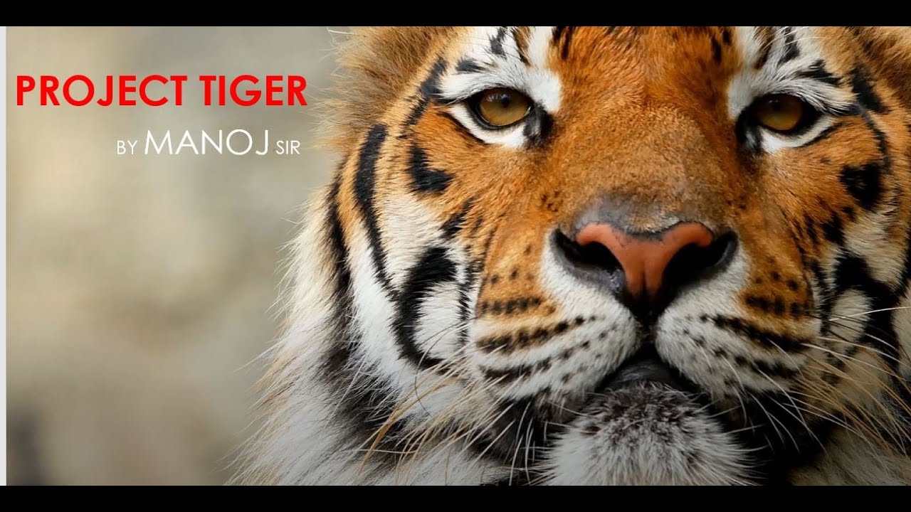 Project Tiger English-High Impact Series Lecture 1 - YouTube