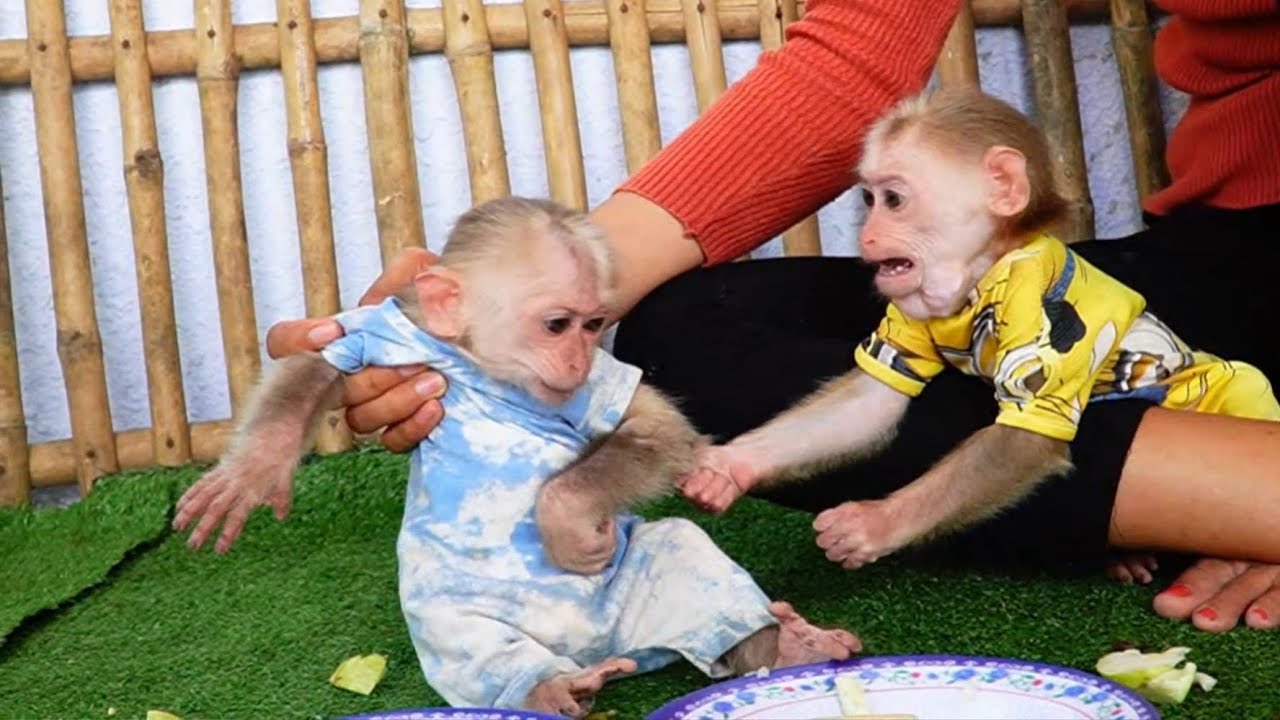 Update Video Ploy Angry Want Show .... To JOOY But Mother Help On Time ...