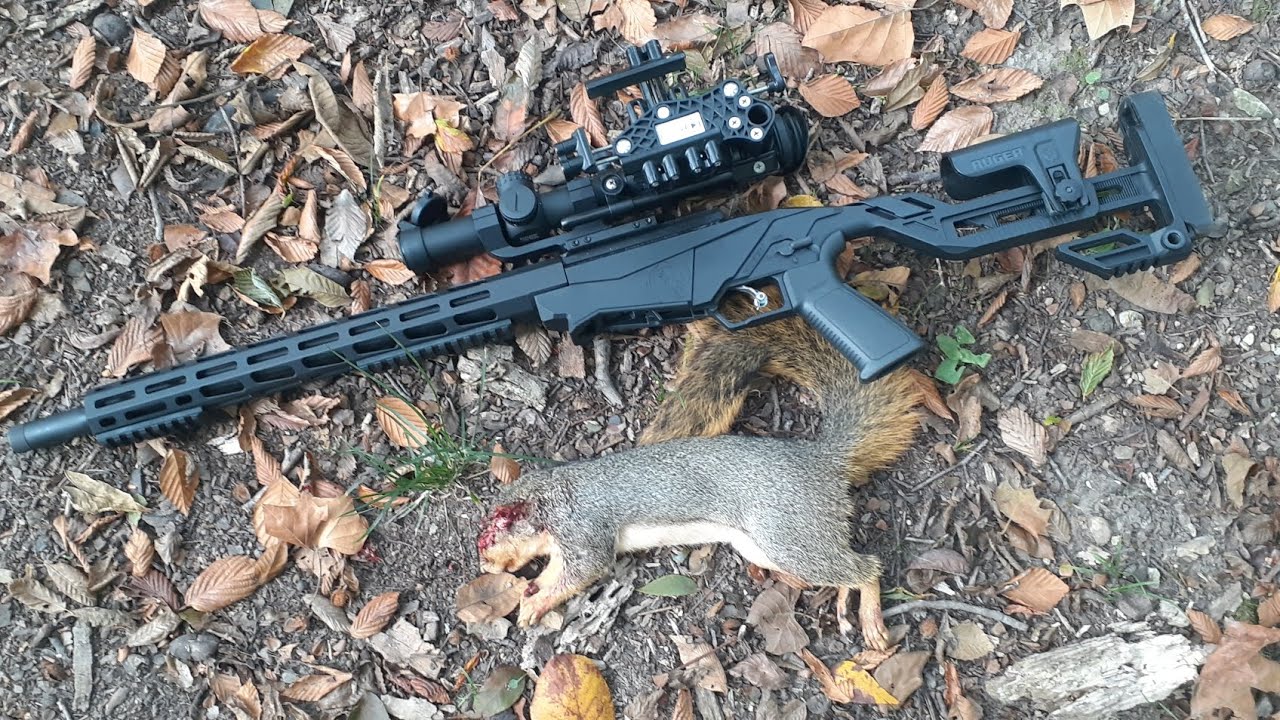 .22LR ARA Competition Rifle Squirrel Hunting? - YouTube