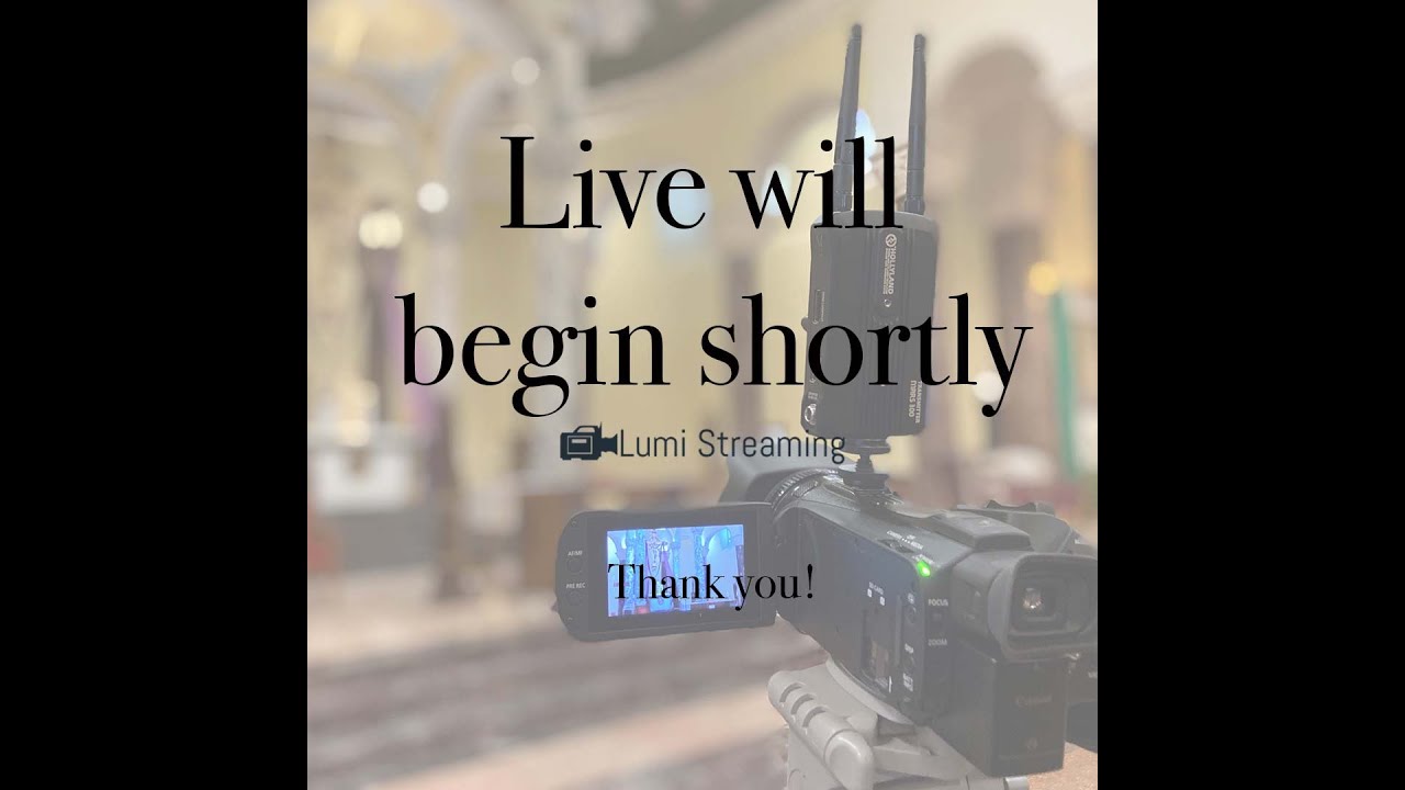 Professions of Fr. Ray Flores, O.S.A., Br. Jeff Raths, O.S.A., & Br ...