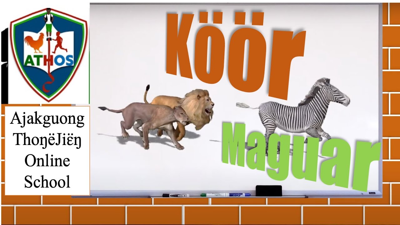 Learning about Lion in Dinka Language | Do You Know Lion sleep for many ...