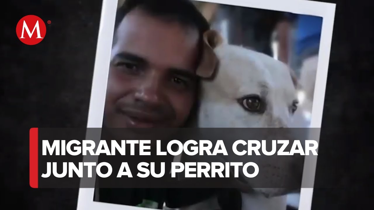 Beethoven El Perro Está Vivo