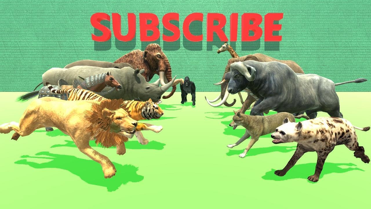 Wild Animals Speed Races | Horse, Giraffe, Hippo, Rhino, Bull, Lion ...