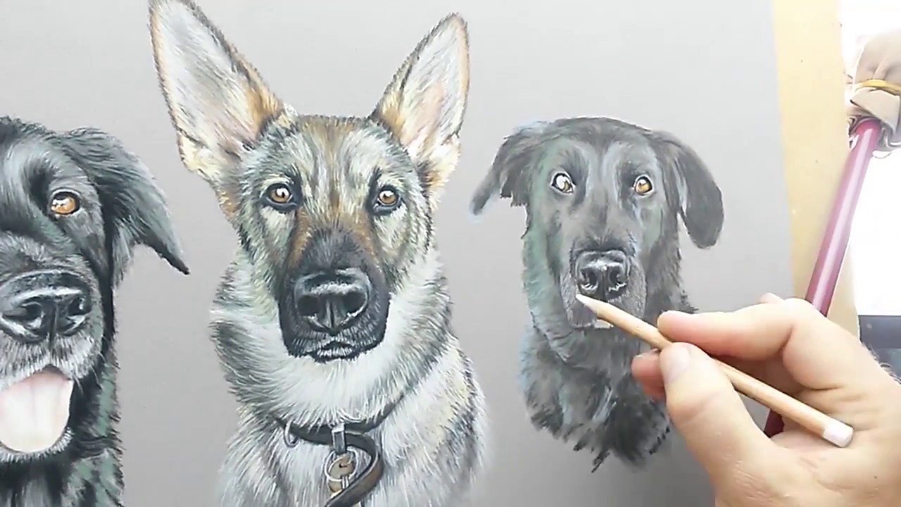 Pet Portrait Painting [3 Dog Gide Dogs, see description] - YouTube