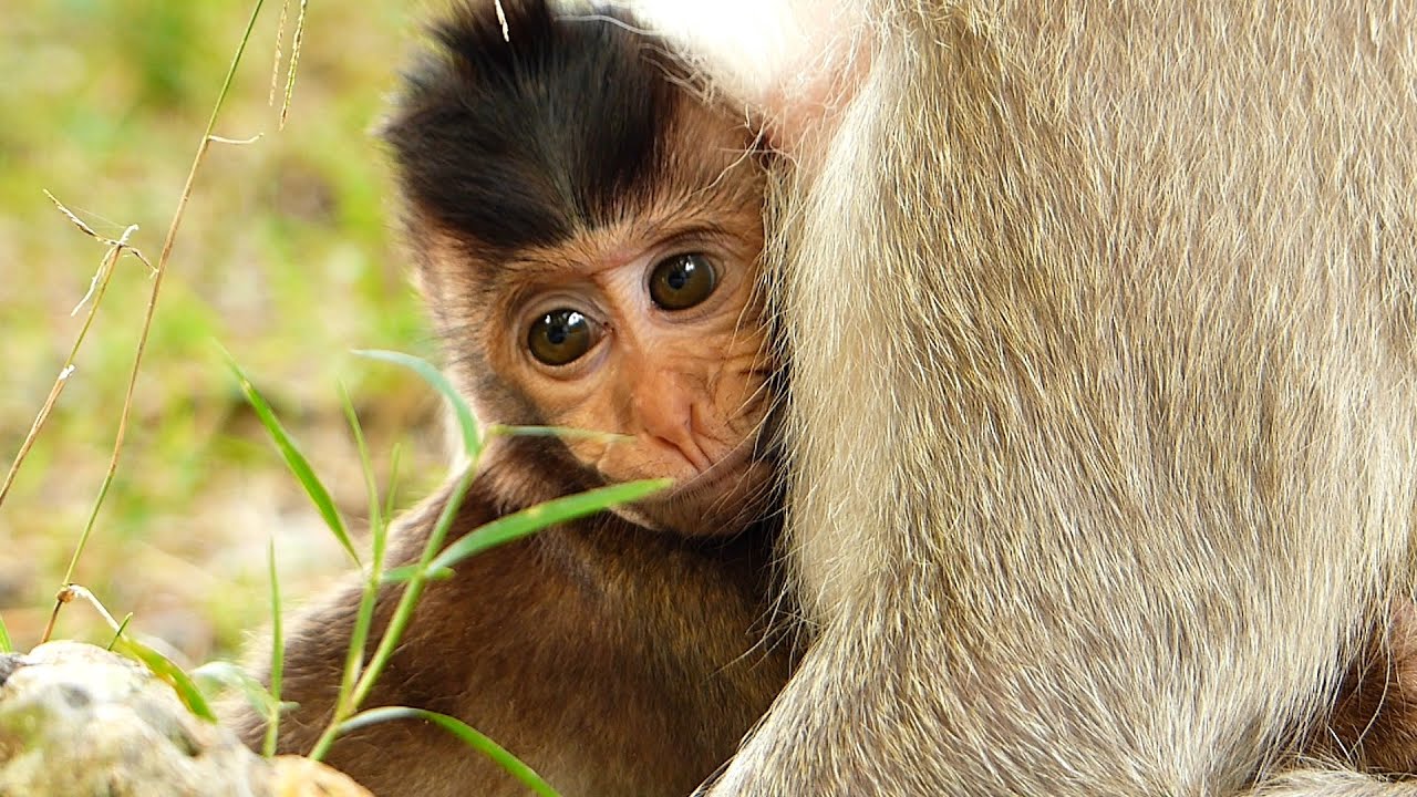 Please Enjoy Watching - YouTube