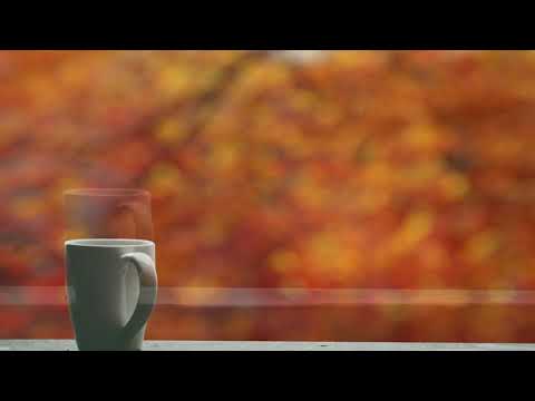 Autumn Rain ~ Relaxing Sounds Of Rain On Leaves