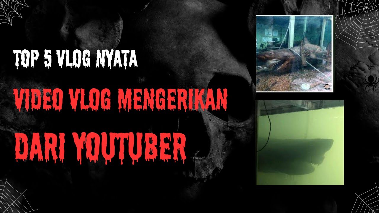 Top 5 Vlog Paling Mengerikan dari YouTuber – Episode 5: Momen-momen ...