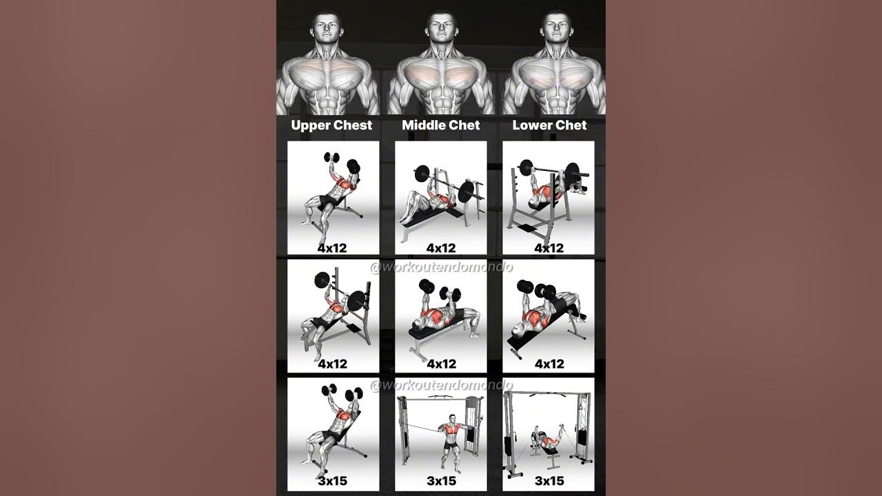 Complete Chest Workout | Manoj Indal Fitness | - YouTube