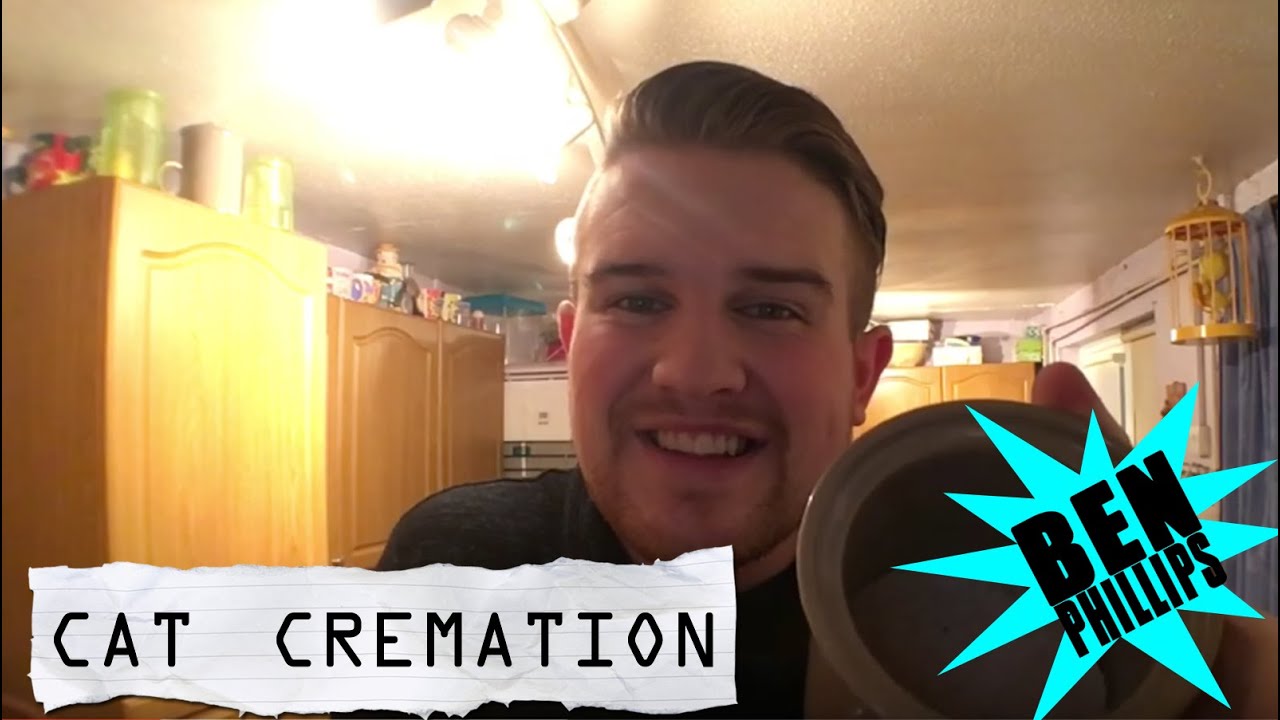 Ben Phillips | Cat Cremation - were drinking the cat - PRANK!! - YouTube