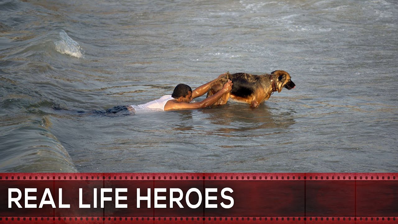 17 Most Inspiring Animal Rescues by Real Life Heroes #17 - YouTube