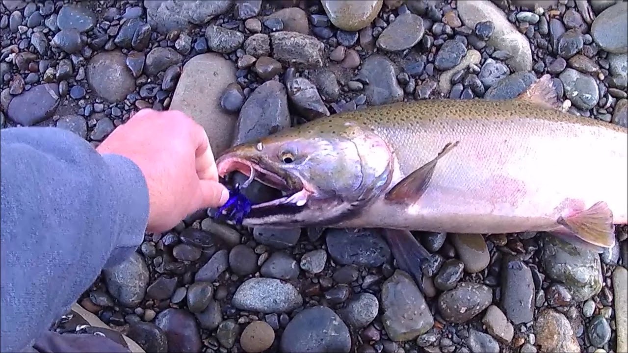 "I got coHO's" - Twitching jigs for Coho - Glo Ballerz - YouTube