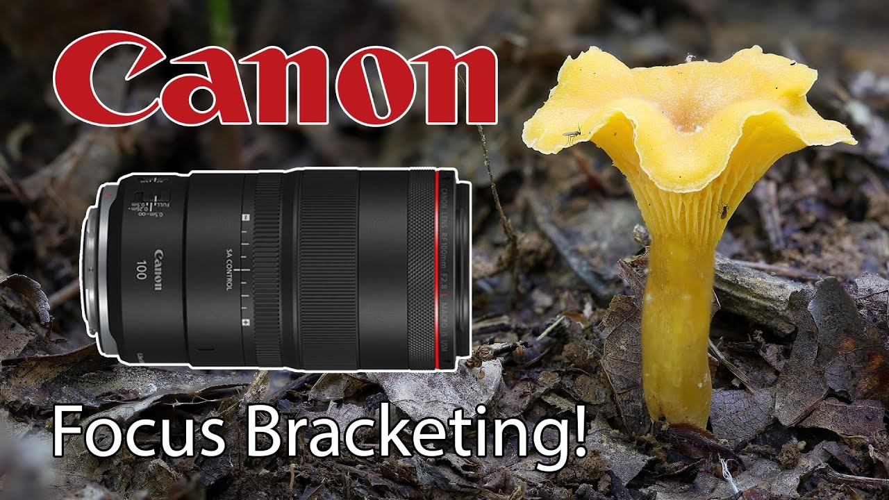 Focus Bracketing Mushrooms & More • Canon EOS R6 Mark II & RF 100mm ...
