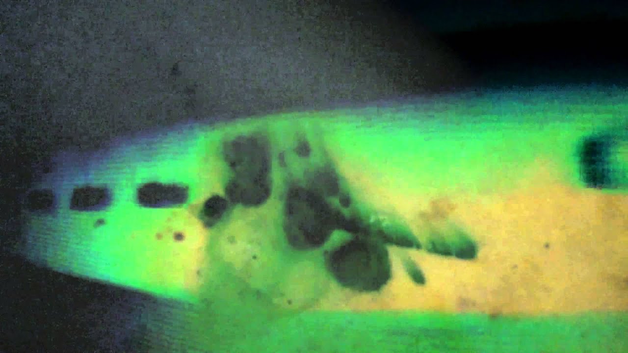 the cathode cathedral clears my throat - YouTube