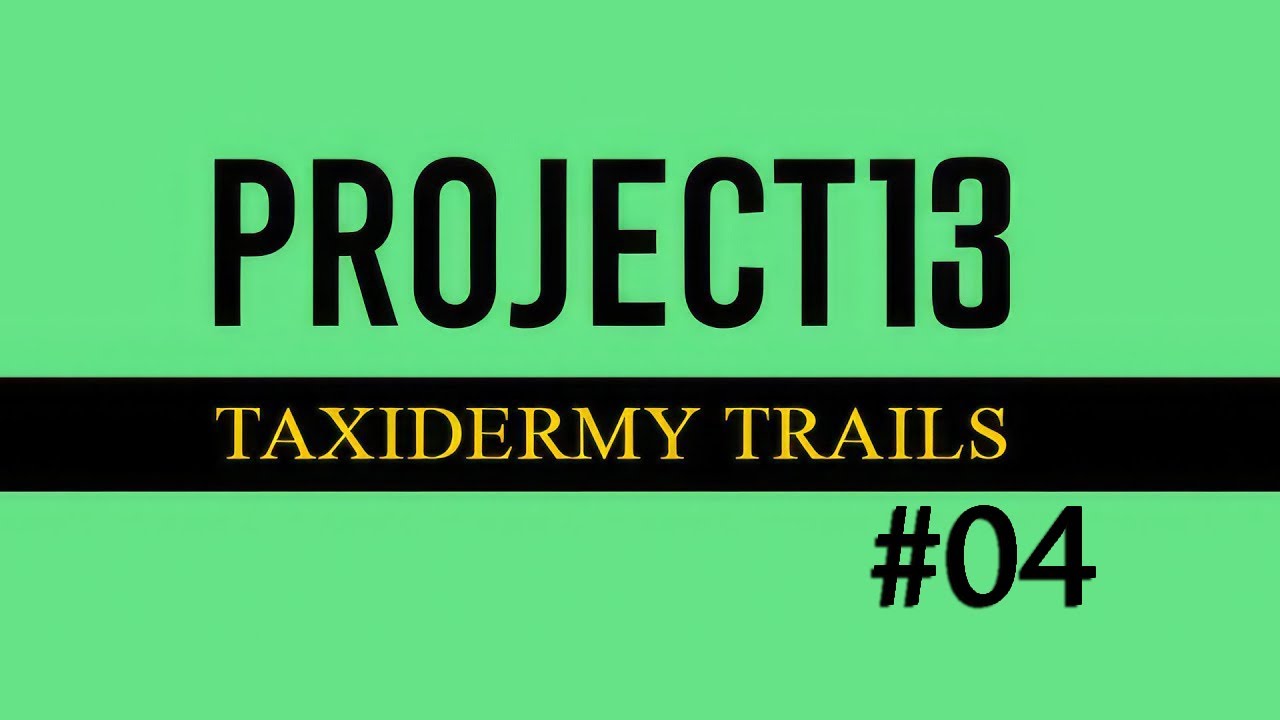 Project 13: Taxidermy Trails #04 - YouTube