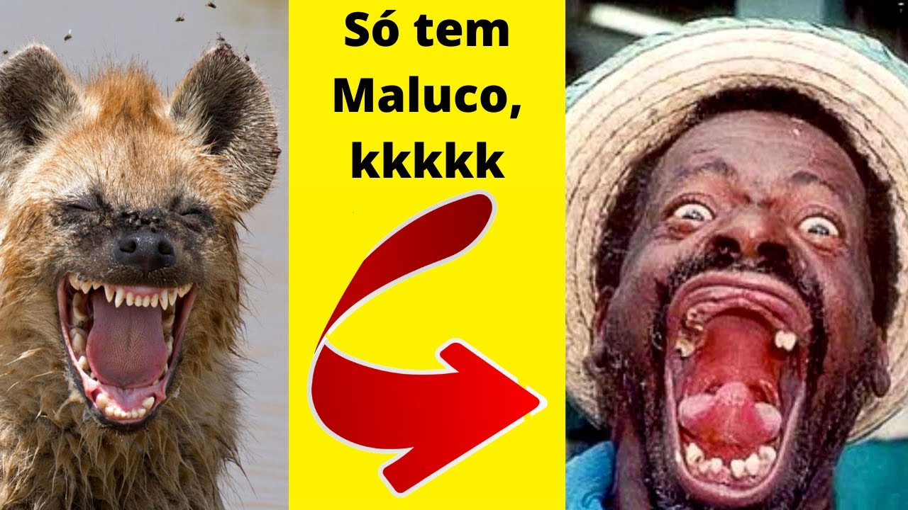 Só tem Maluco kkkk - Vídeos Engraçados 2020 - TENTE NÃO RIR. - YouTube