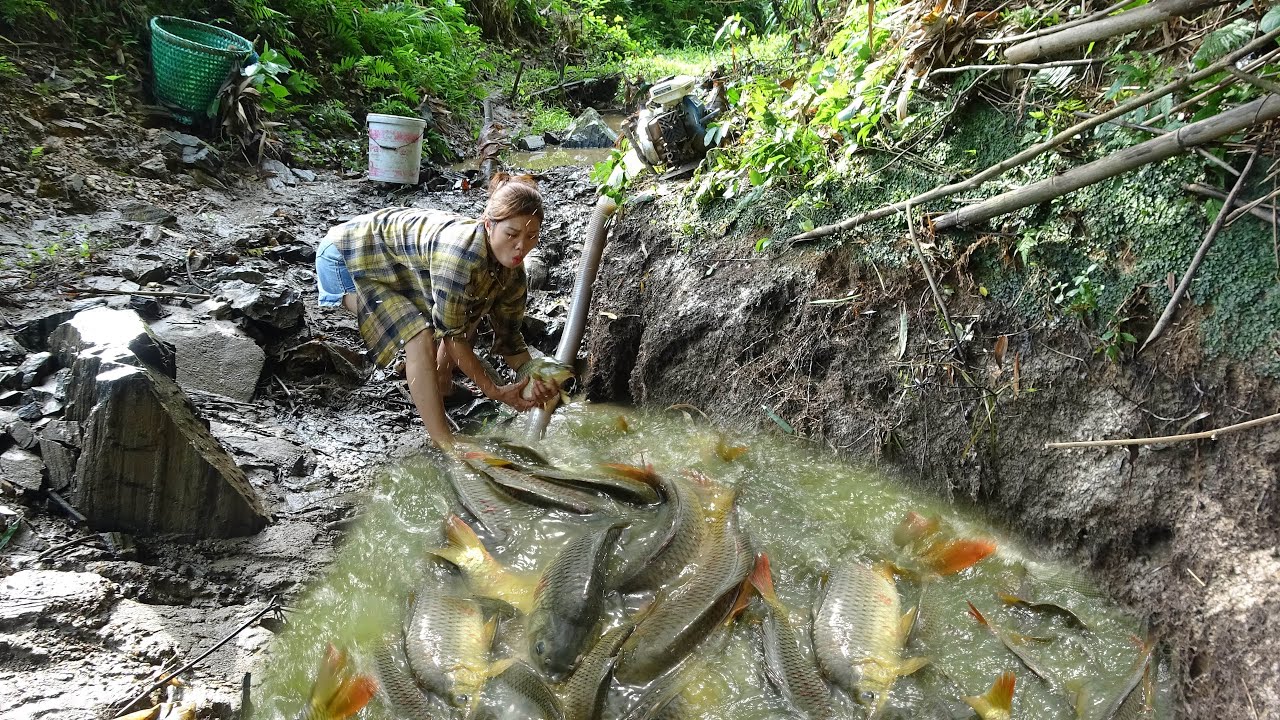Amazing fishing - Using Pumps To Suction Water In Wild Lakes, Catch A ...