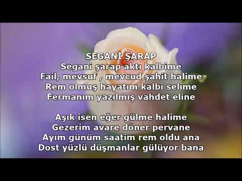 Segani Şarap _ Davud Yılmaz Efendi Hazretleri