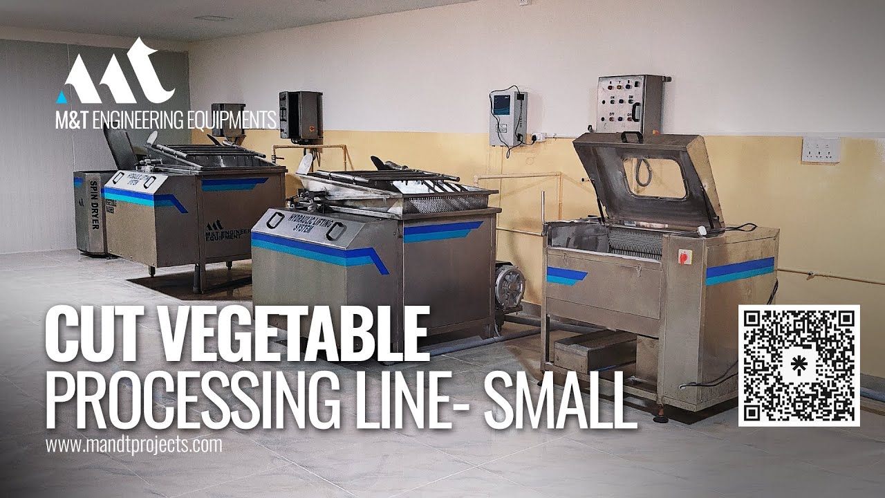Cut Vegetable Processing Line, Salad processing Line - Capacity 50-500 Kg's/Hr. - YouTube
