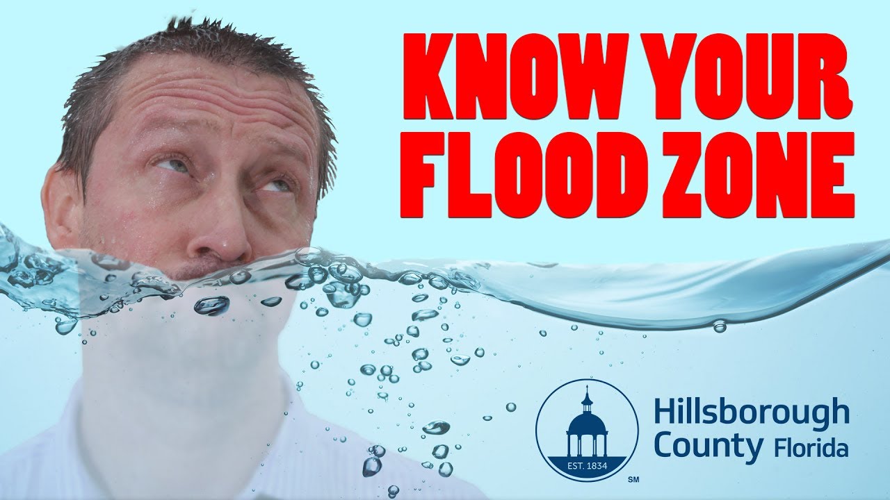 The Flood Zone YouTube the-flood-zone-youtube