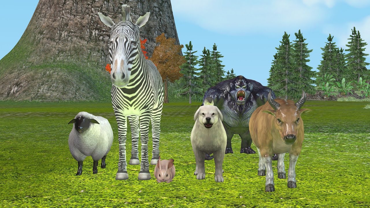 Animals Names , Gorilla, Cow , Goat, Elephant,Rabbit and Dog Animal ...
