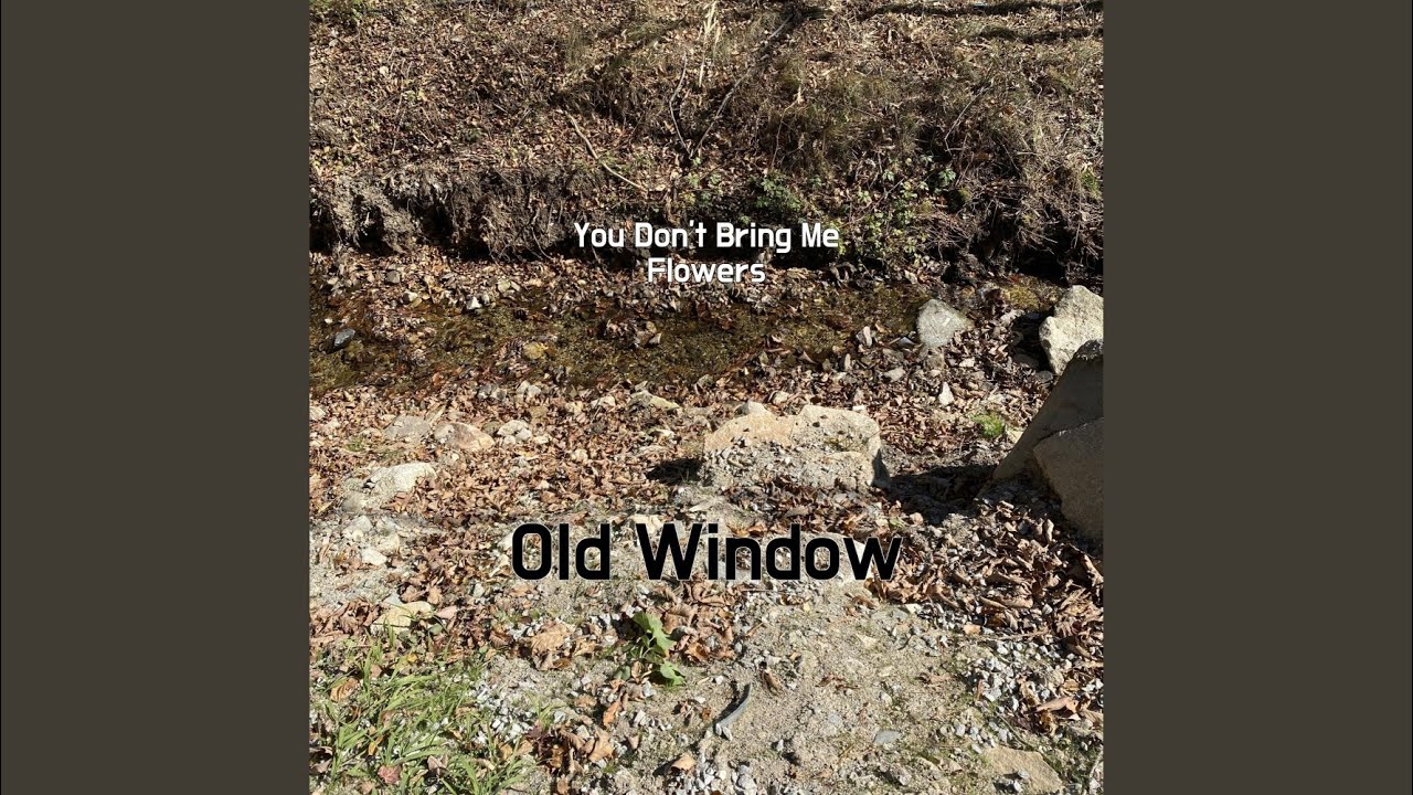 You Don't Bring Me Flowers - YouTube