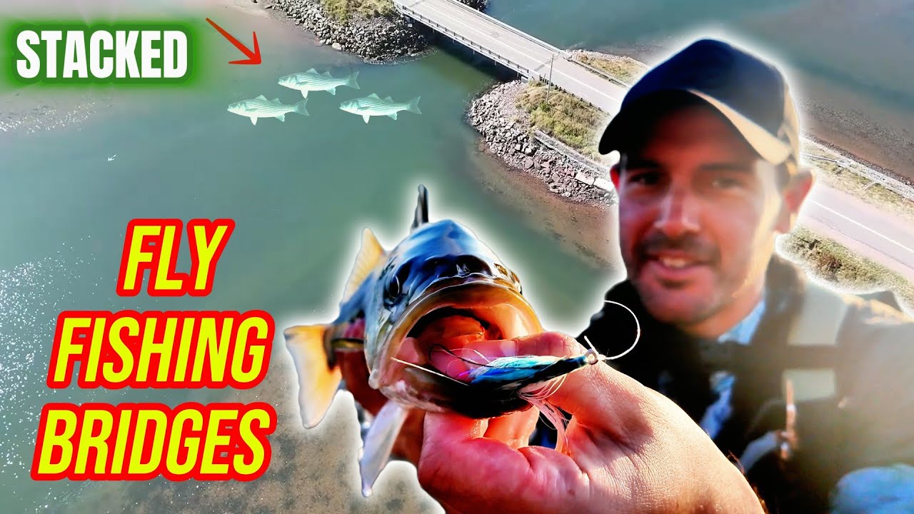 I Fly Fished This Bridge For These STACKED Fish! - YouTube