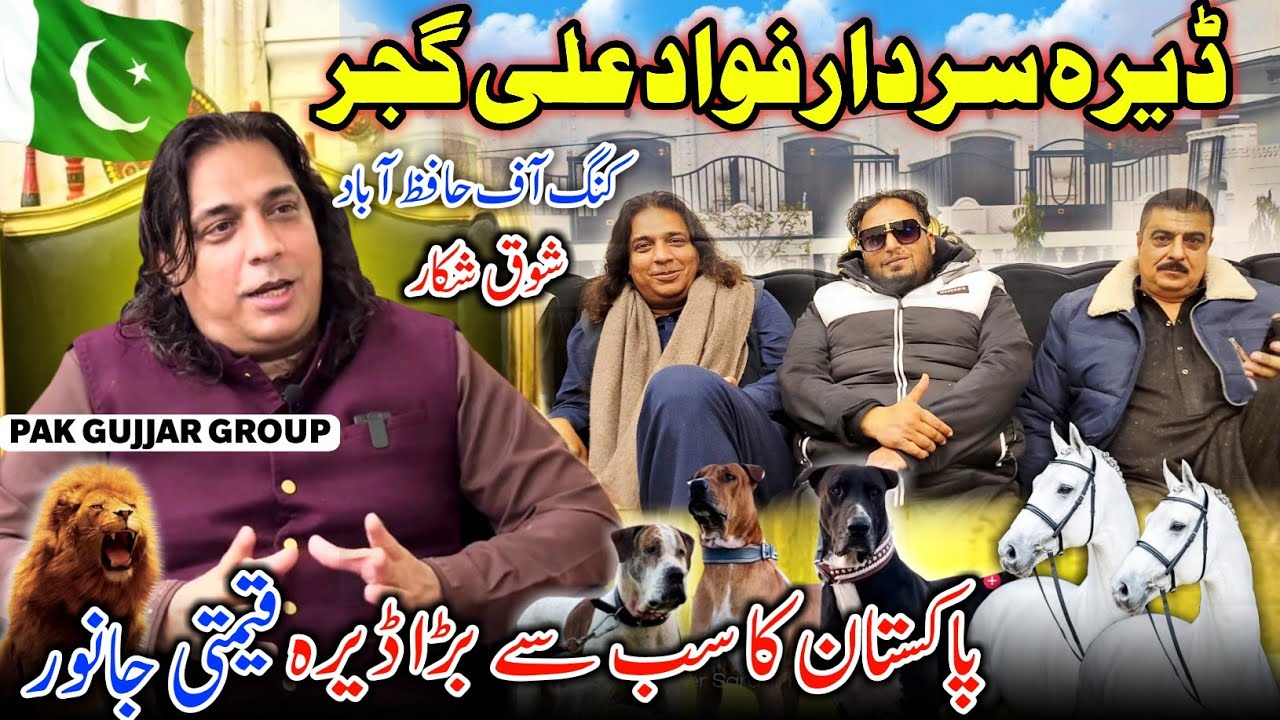 Biggest Dera Of Sardar Fawad Gujjar 😍🇵🇰 King Of Hafizabad || Pak Gujar ...