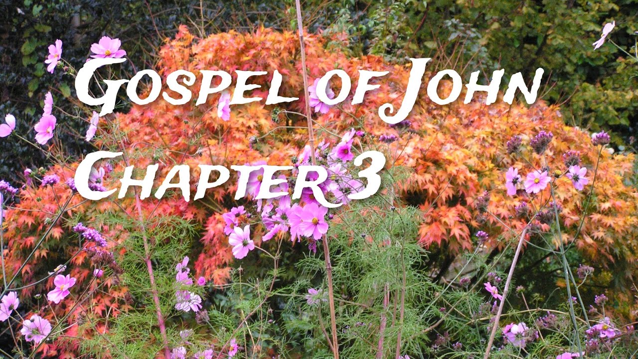 John chapter 3 KJV Youtube audio - YouTube