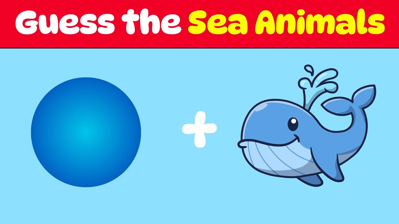 Guess the Sea Animal | Fun Ocean Animal Quiz for Kids | JD’s Learning Crew - YouTube