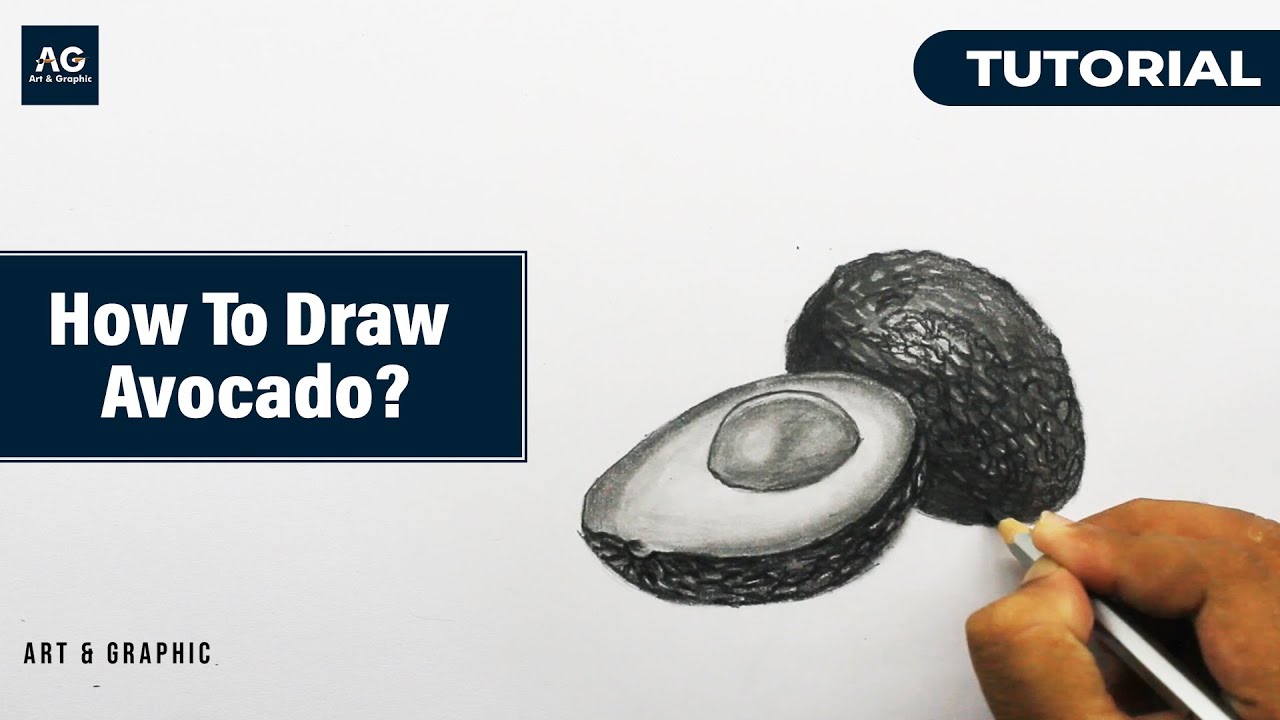 How to Draw Avocado | Easy Drawing Step-by-step - YouTube