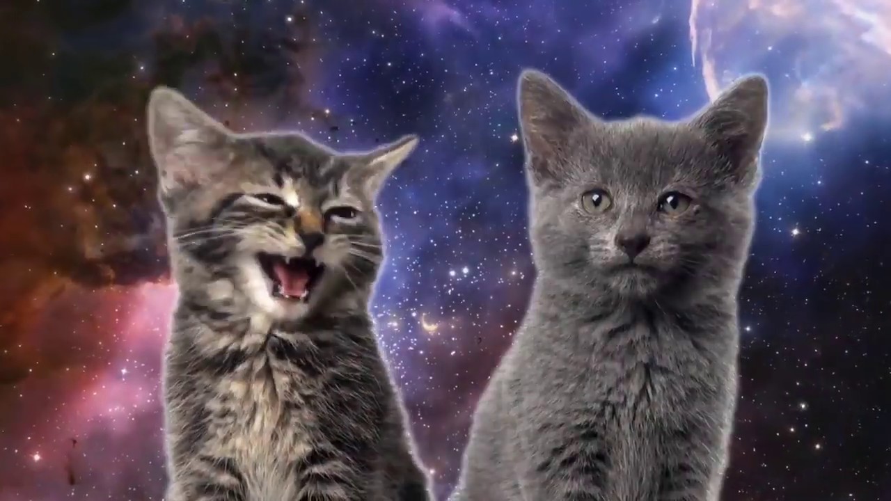 Space Cats Singing - YouTube
