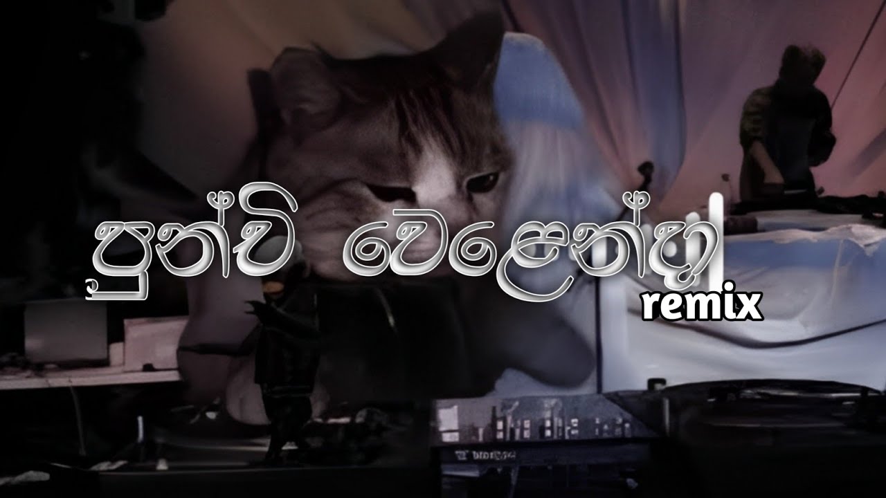 මං පුංචි වෙළෙන්දා | Man punchi welenda Remix #trending #trending #fypシ ...