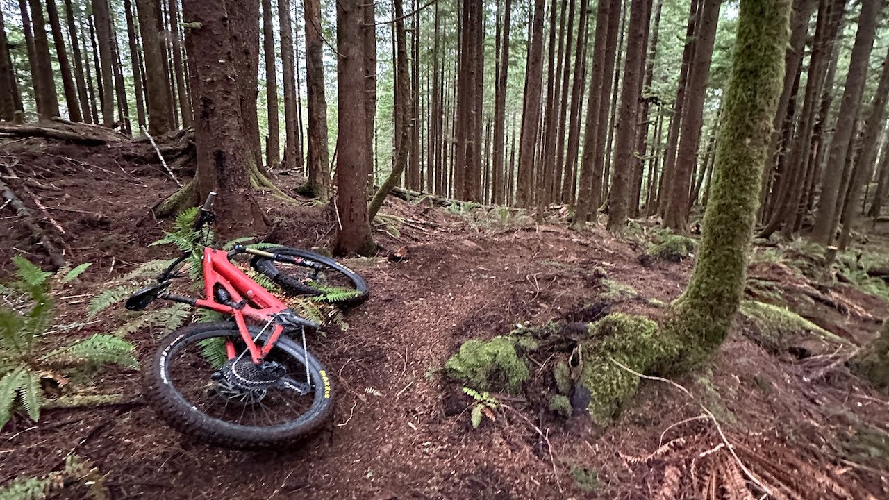 Highest Point Trail Downhill MTB - Forks, Washington - YouTube