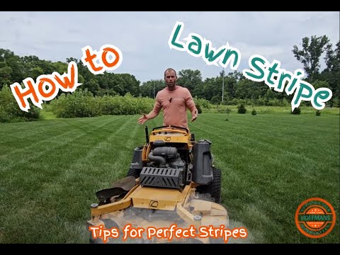 How to Achieve Perfect Lawn Mower Stripes | Expert Tips from Central ...