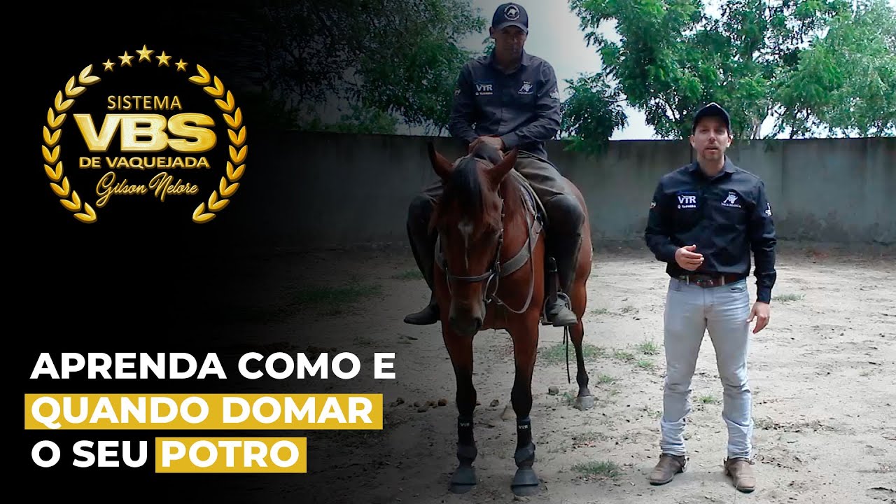 Aprenda como e quando domar o seu potro. - YouTube