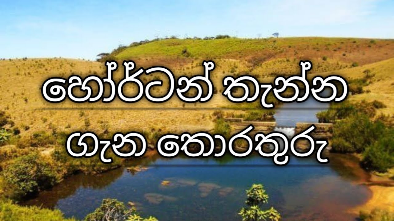 හෝර්ටන් තැන්න | Hortan Thanna | Hortain Plain Srilanka | හෝර්ටන්තැන්න ...