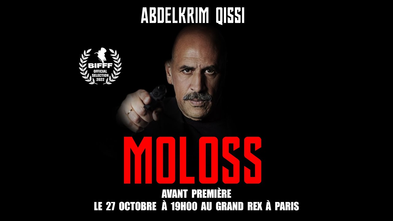 Moloss Grand Rex Spot 4k - YouTube