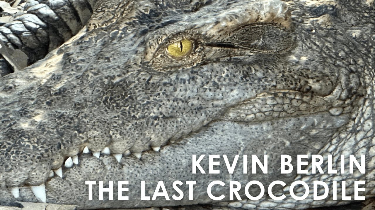 "PAINTING THE RAREST CROCODILE IN THE WORLD" short film by KEVIN BERLIN ...