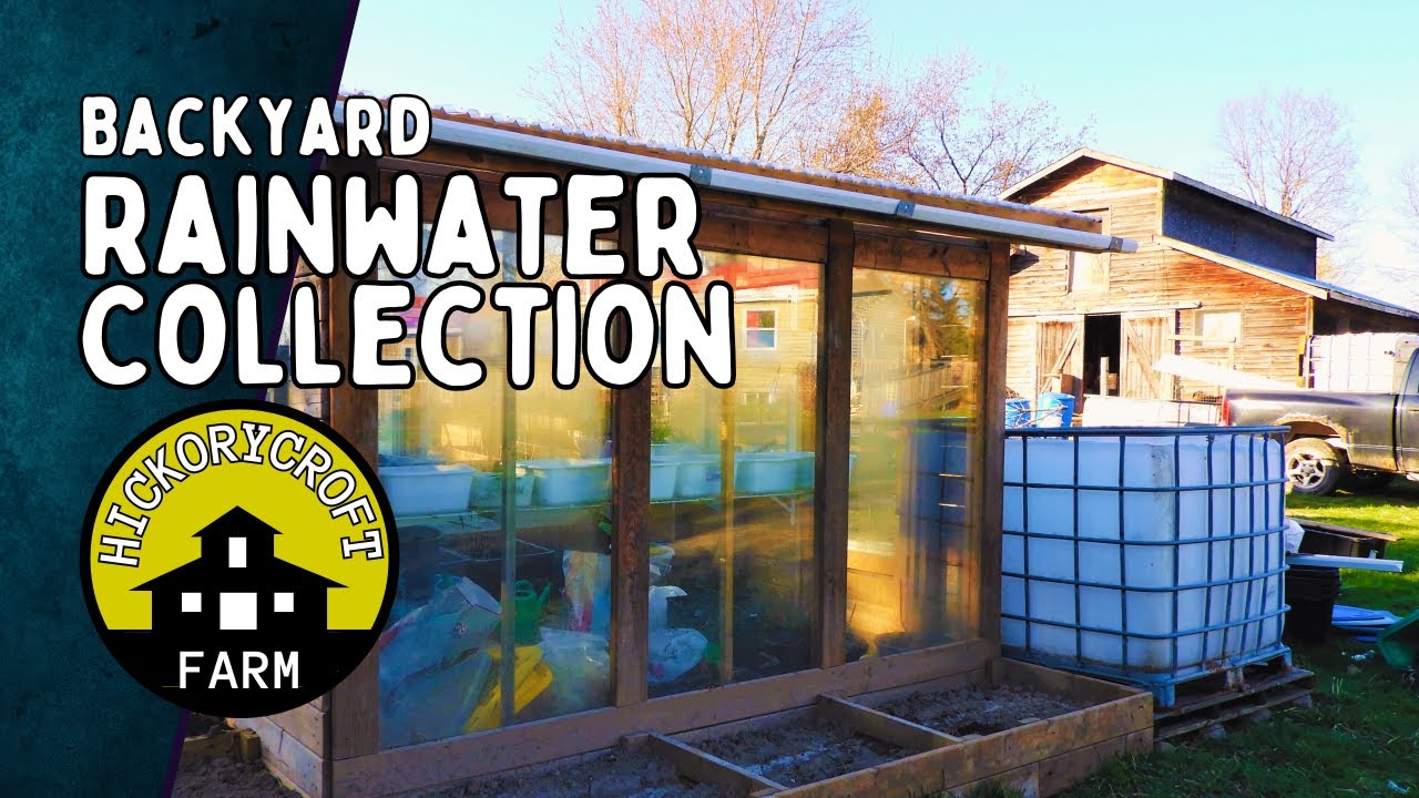 Backyard RAINWATER COLLECTION: Setting Up The IBC Tote - YouTube