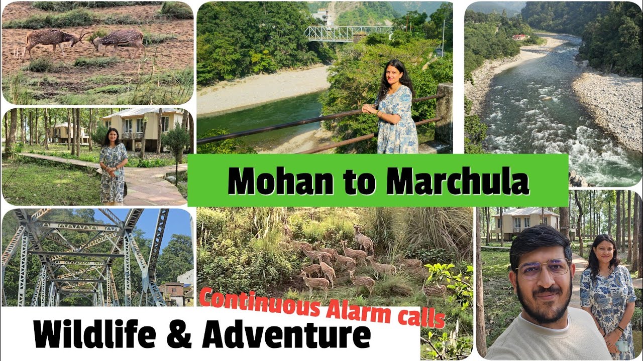 #marchula || Tiger Territory🐅mei drive||Corbett National Park ||# ...