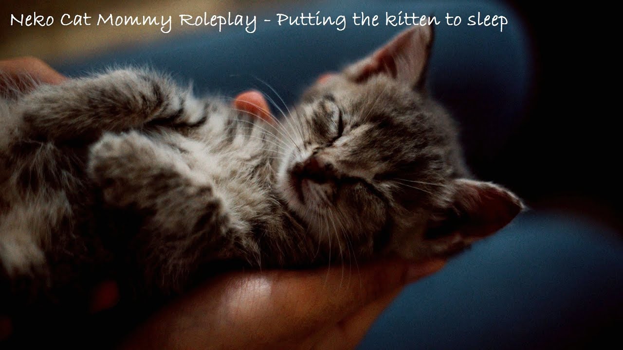 ASMR Neko Cat Mommy Roleplay - Putting the kitten to sleep [REQUESTED ...