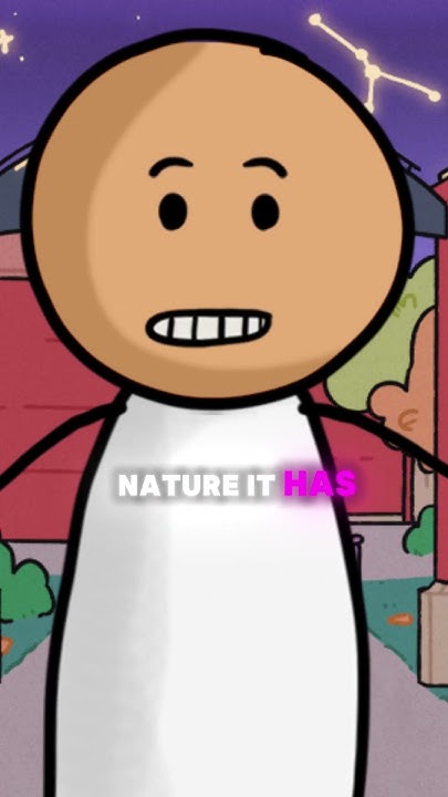 Why Don’t Programmers Like Nature? #funnyjokes #animation #animatedshort - YouTube