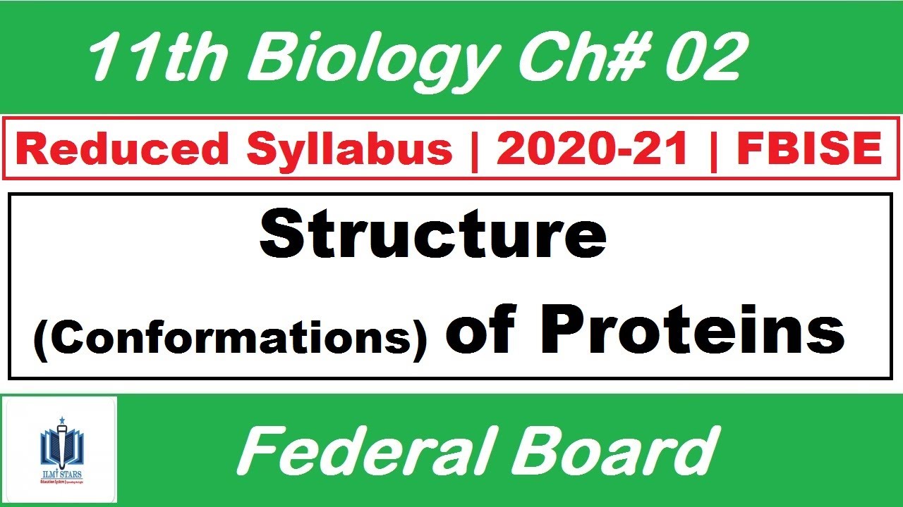 Structural Conformations of Proteins, Class 11 Biology Ch.2, Ilmi Stars ...