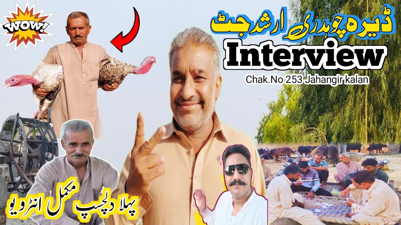 First interview || Daira Ch Arshad jutt || Fish farm || Dairy farm in ...