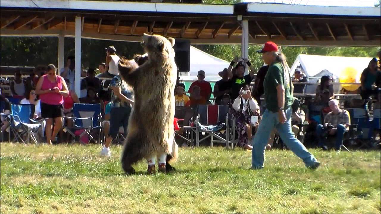 LauraGrizzlyPaws Bear Dance Crow Fair 2014 - YouTube